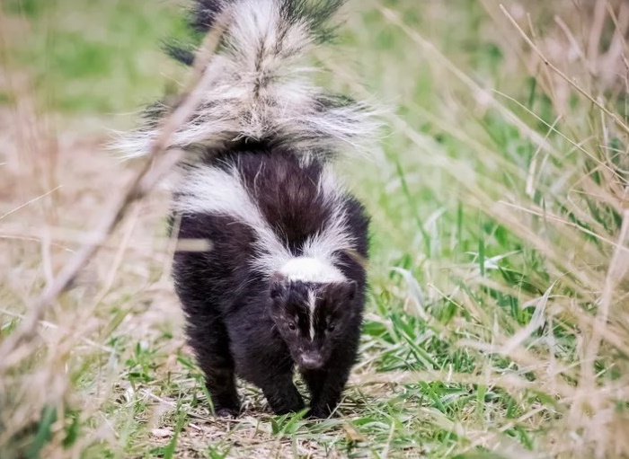 News & Updates | City of Strongsville